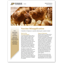 Vaccine Misapplication