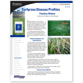 Turfgrass Disease Profiles: Powdery Mildew
