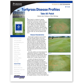 Turfgrass Disease Profiles: Take All Patch