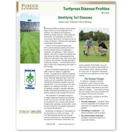 Turfgrass Disease Profiles: Turf Disease Identification
