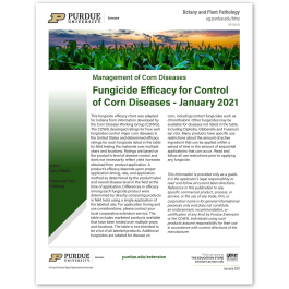 Diseases of Corn: Fungicide Efficacy for Control of Corn Diseases