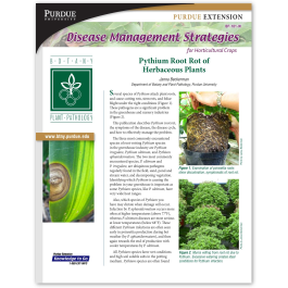 Disease Management Strategies for Horticultural Crops: Pythium Root Rot ...