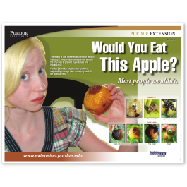 Would You Eat This Apple? poster