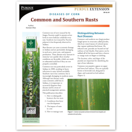 Diseases of Corn: Common and Southern Rust