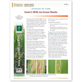 Diseases of Corn: Goss's Wilt on Grass Hosts