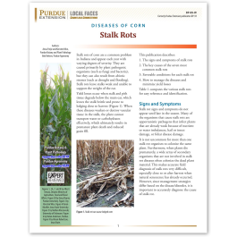 Diseases of Corn: Stalk Rots