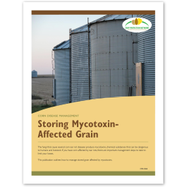 Corn Disease Management: Storing Mycotoxin-affected Grain