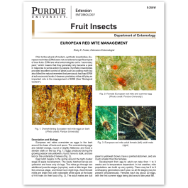 European Red Mite Management