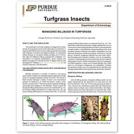 Turfgrass Insects: Managing Billbugs in Turfgrass