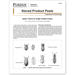 Insect Pests of Home Stored Foods