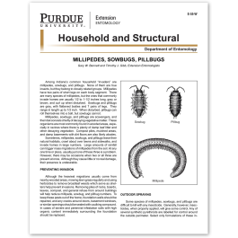 Millipedes, Sowbugs, Pillbugs