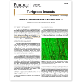 Turfgrass Insect Management