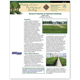 Nursery Production of Hardwood Seedlings