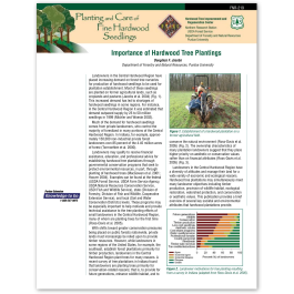 Importance of Hardwood Tree Planting
