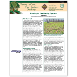 Planning the Tree Planting Operation