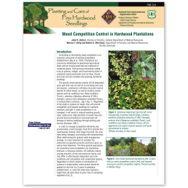 Weed Competition Control in Hardwood Plantations
