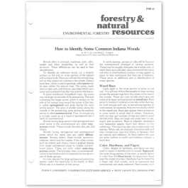 How to Identify Some Common Indiana Woods