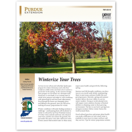 Winterize Your Trees
