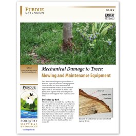 Mechanical Damage to Trees: Mowing and Maintenance Equipment