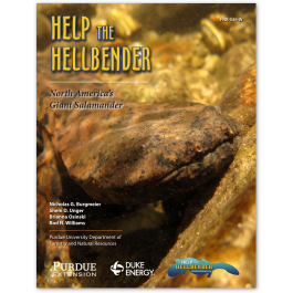 Help the Hellbender, North America's Giant Salamander