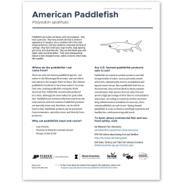 American Paddlefish Farmed Fish Fact Sheet