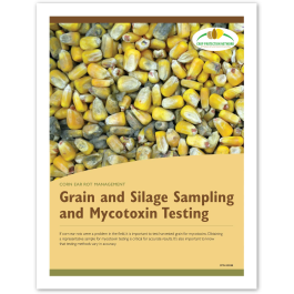Corn Disease Management: Grain Sampling and Mycotoxin Testing