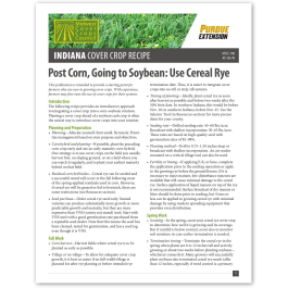 Indiana Cover Crop Recipe: Post Corn, Going to Soybean: Use Cereal Rye