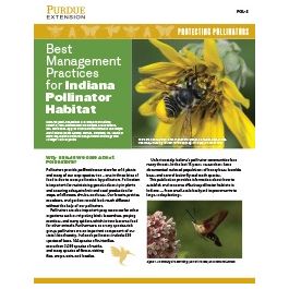 Protecting Pollinators: Best Management Practices for Indiana ...