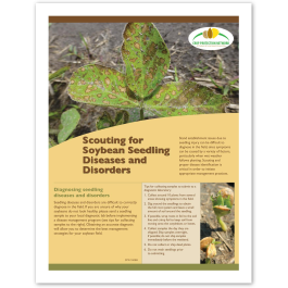 Scouting for Soybean Seedling Diseases and Disorders