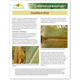 Corn Disease Management: Southern Rust