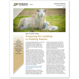 What to Expect When: Preparing for Lambing or Kidding Season