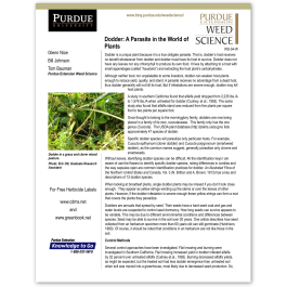 Dodder: A Parasite in the World of Plants