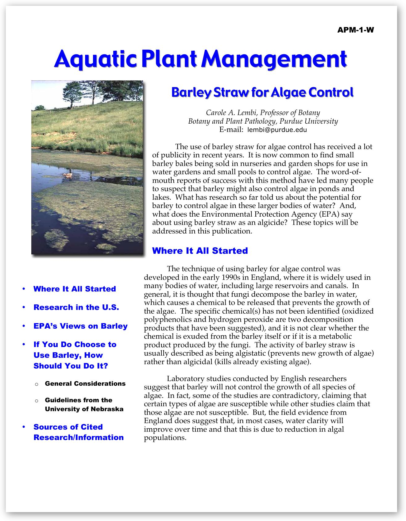 Barley Straw for Algae Control