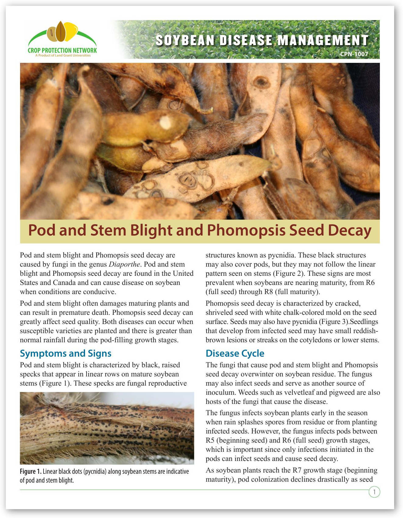Soybean Pod Blight