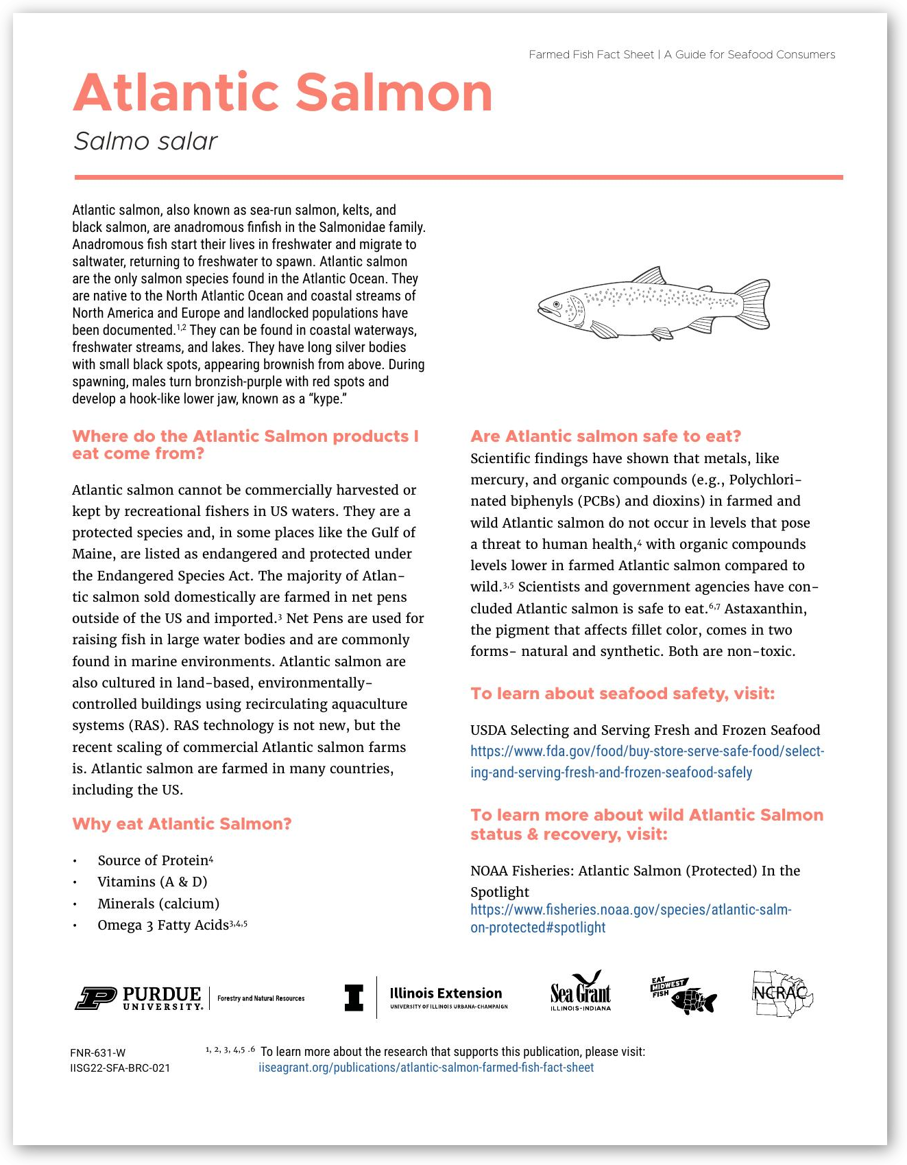 Atlantic Salmon Farmed Fish Fact Sheet