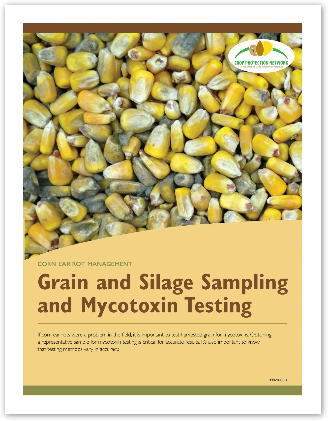 Corn Disease Management: Grain Sampling and Mycotoxin Testing