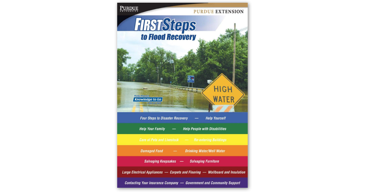 First Steps to Flood Recovery