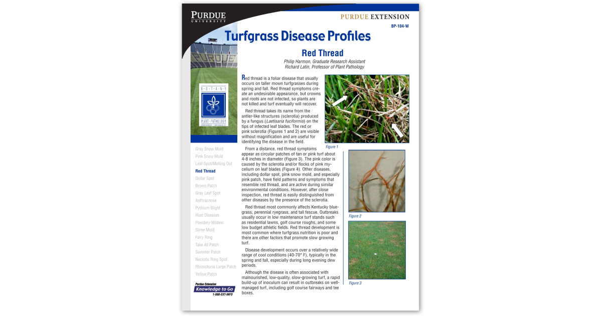 Turfgrass Disease Profiles: Red Thread