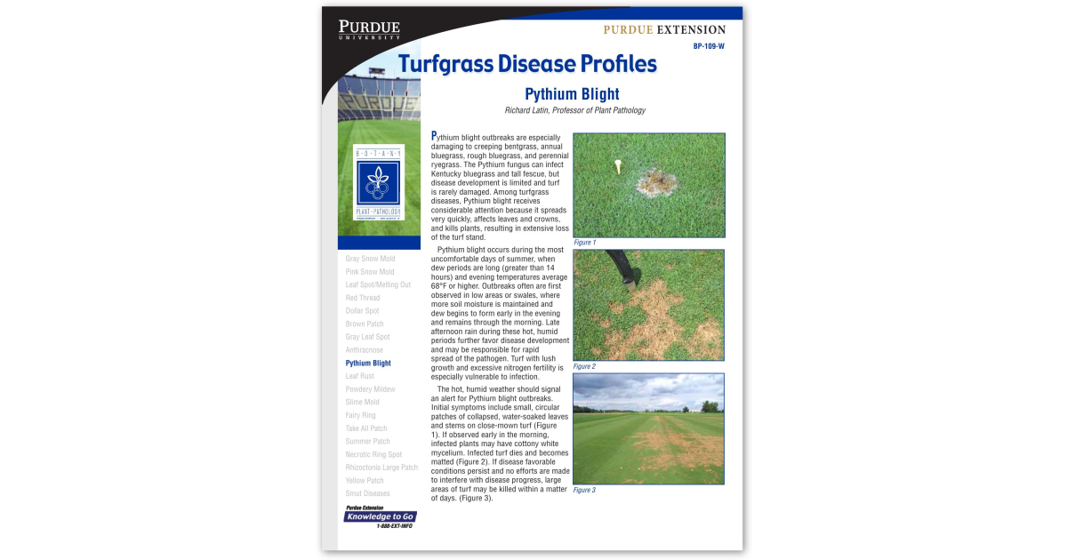 Turfgrass Disease Profiles: Pythium Blight