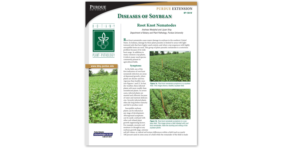 Diseases of Soybean: Root Knot Nematode