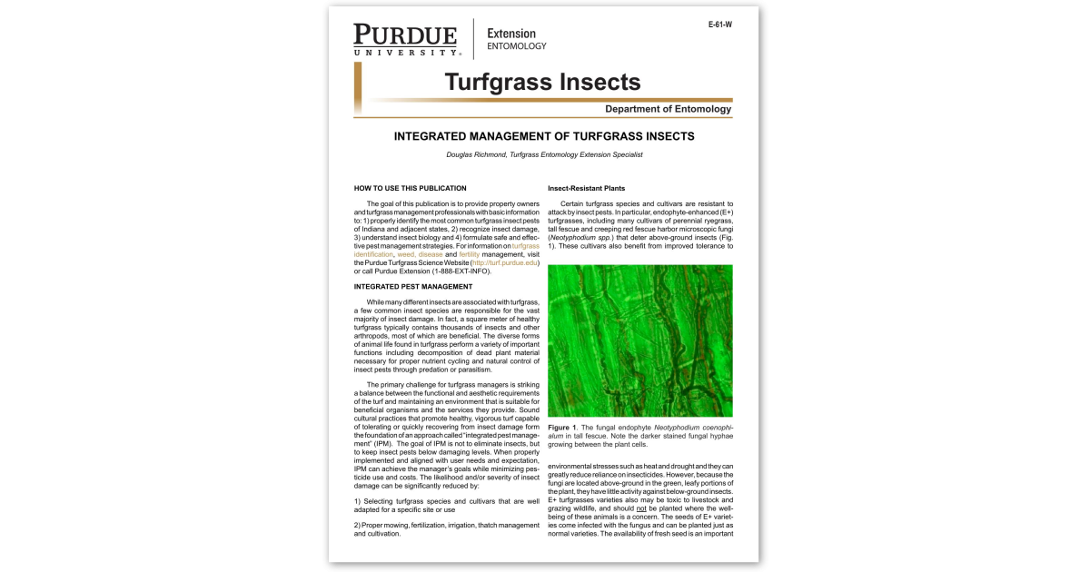 Turfgrass Insect Management