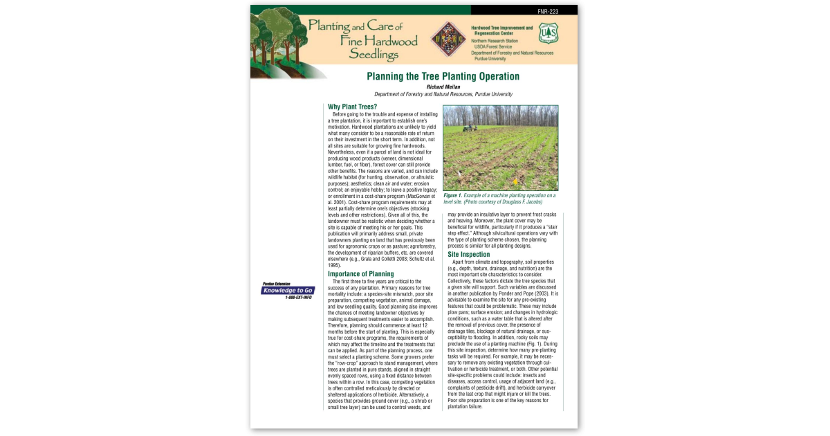 Planning the Tree Planting Operation