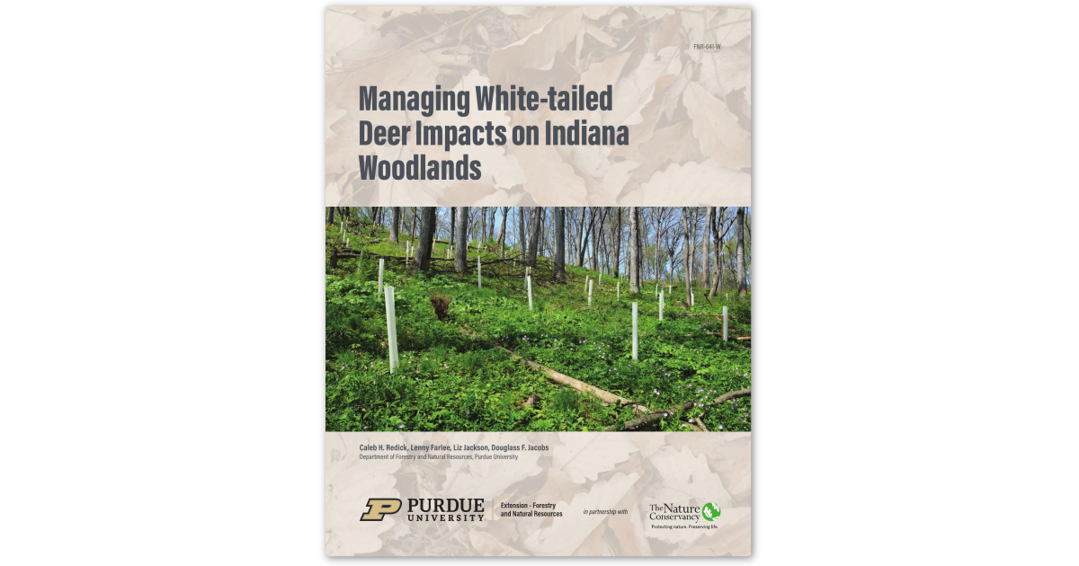 Managing White-tailed Deer Impacts on Indiana Woodlands
