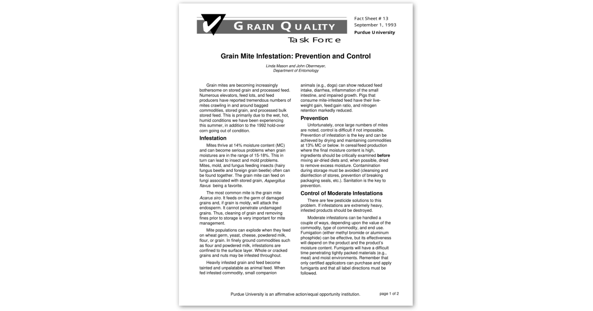 Grain Mite Infestation: Prevention and Control