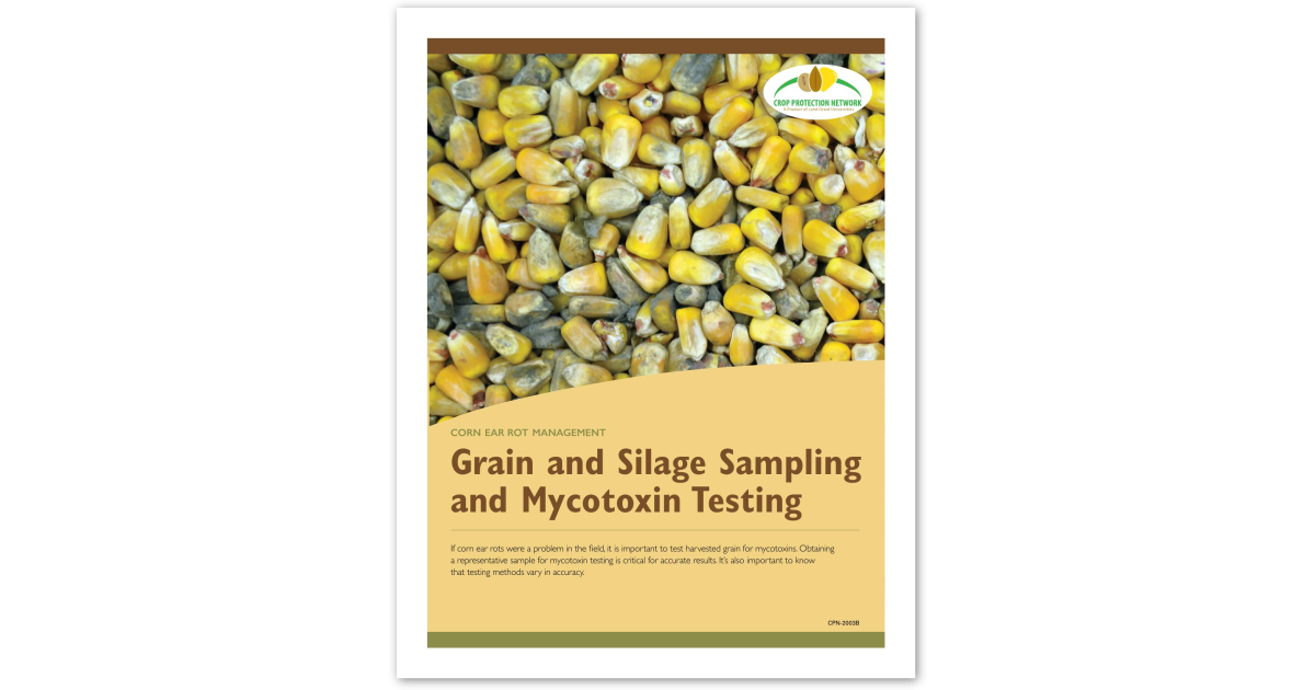 Corn Disease Management: Grain Sampling and Mycotoxin Testing