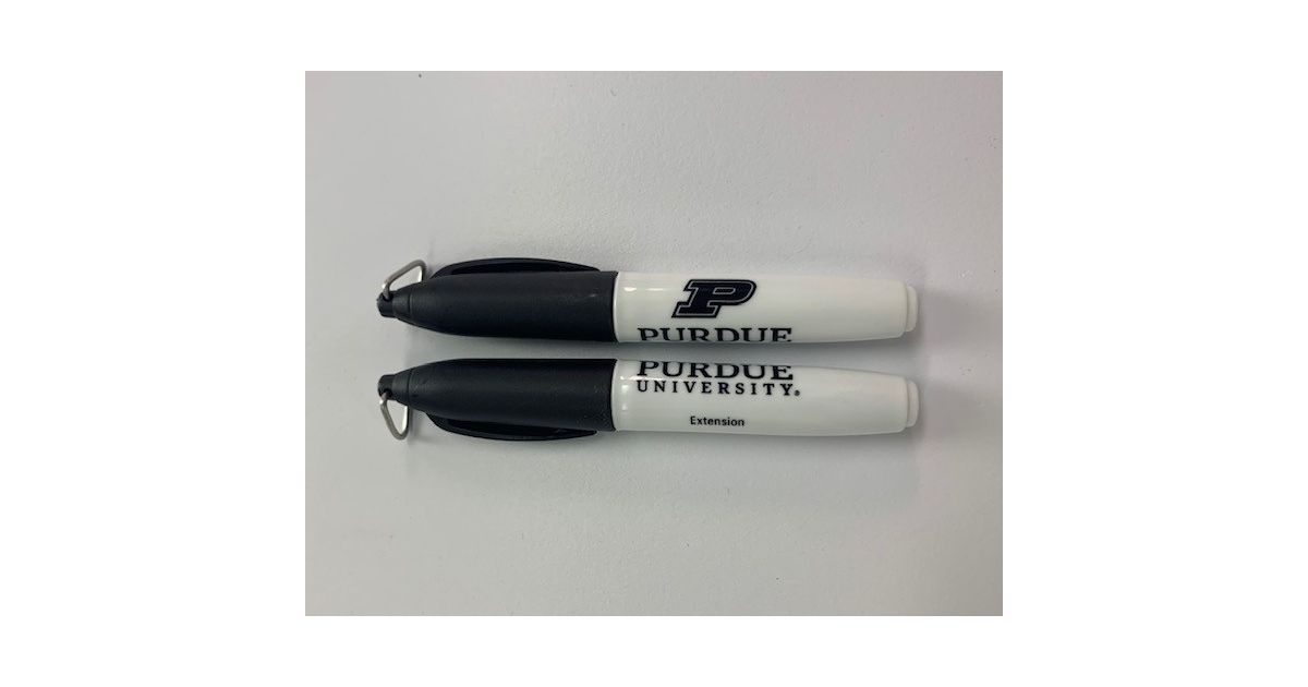 Permanent Mini-Marker (10 pack)