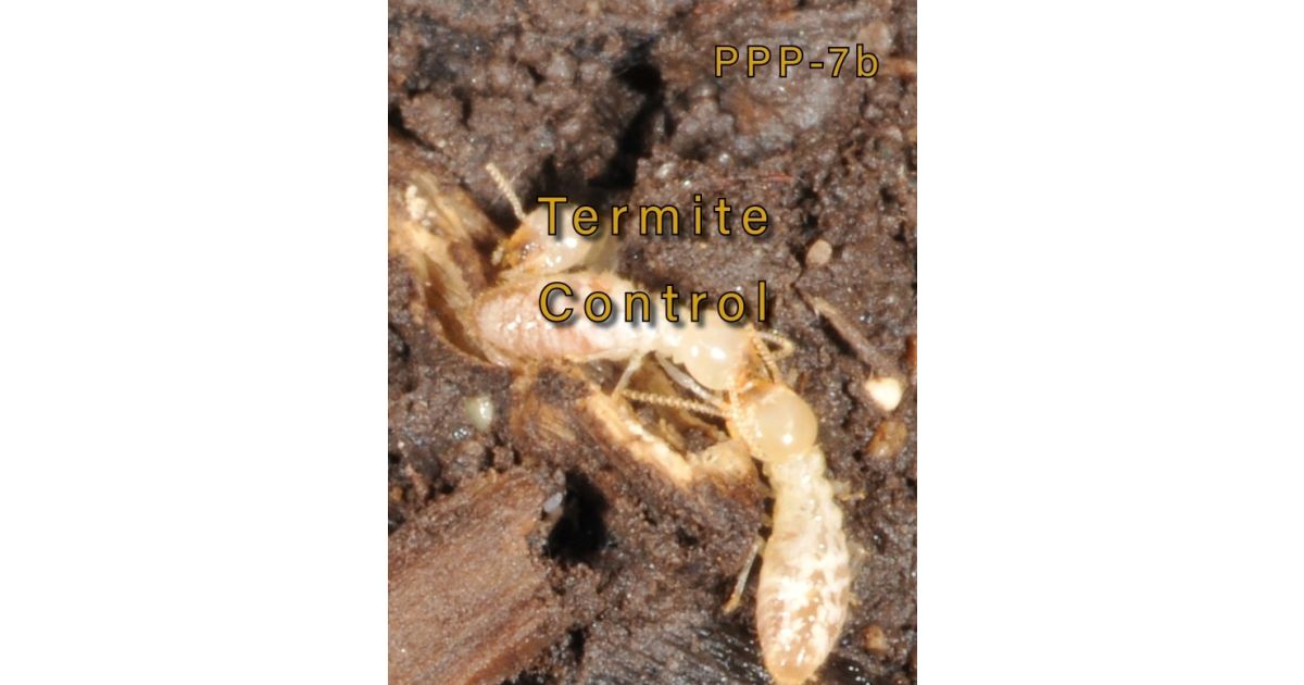 Category 7b: Termite Control