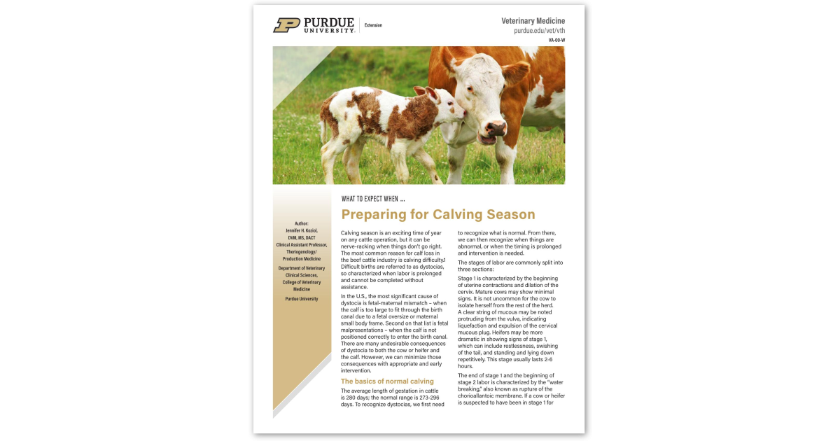 What to Expect When: Preparing for Calving Season