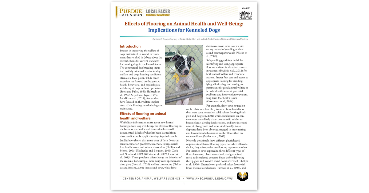 Effects of Flooring on Animal Health and Well-Being: Implications for ...
